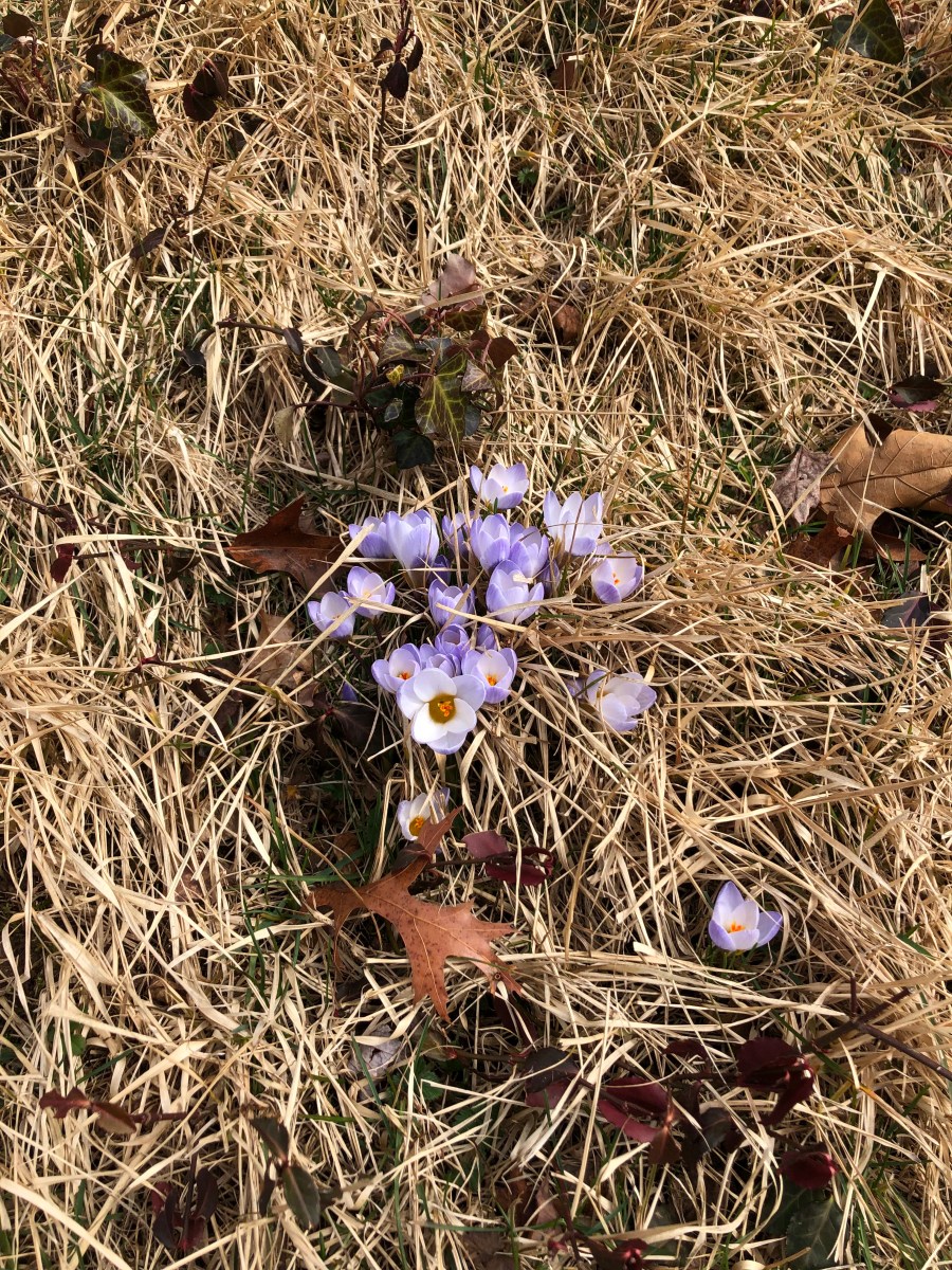 This space intentionally left blank – Eva K. Sullivan